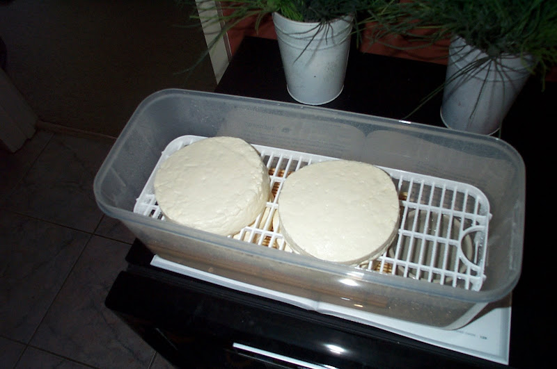 How to Make Camembert - Little Green Cheese